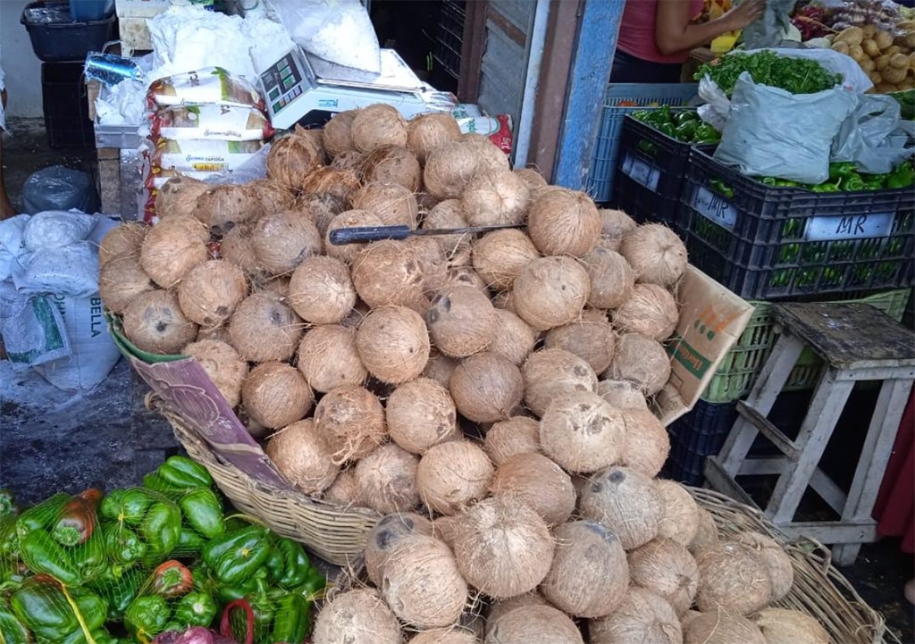 Coco seco na Feira Central de Campina Grande: tradição e frescor